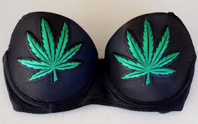Spain - Malaga: Women Found With 1 KG Hash In Their Bras By Police ...