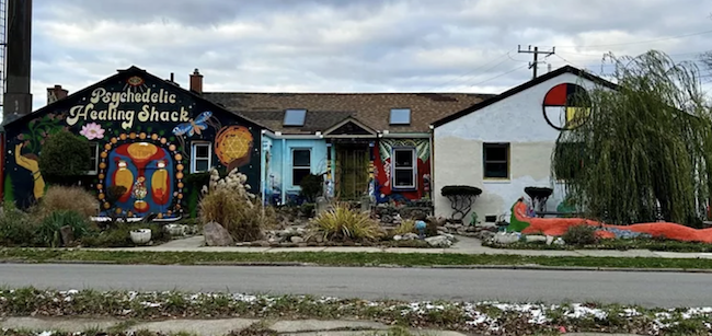 Magic mushroom church leader sues Detroit’s top lawyer, citing ...